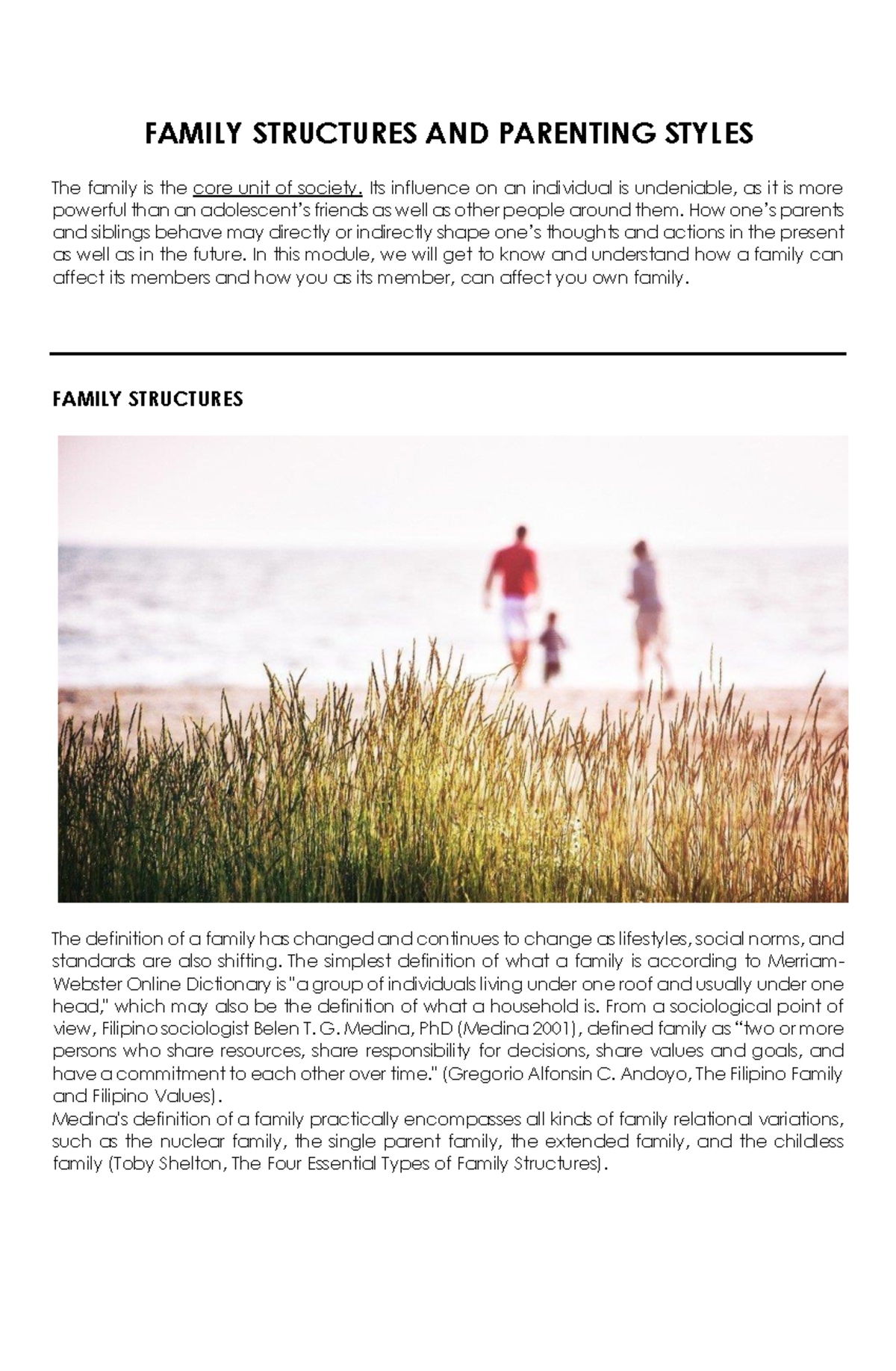 Lesson 6 - Family Structures AND Parenting Styles - FAMILY STRUCTURES ...