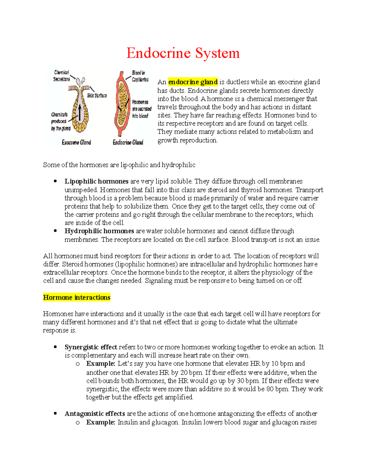 Exam #5 - Endocrine - Endocrine System An endocrine gland is ductless ...