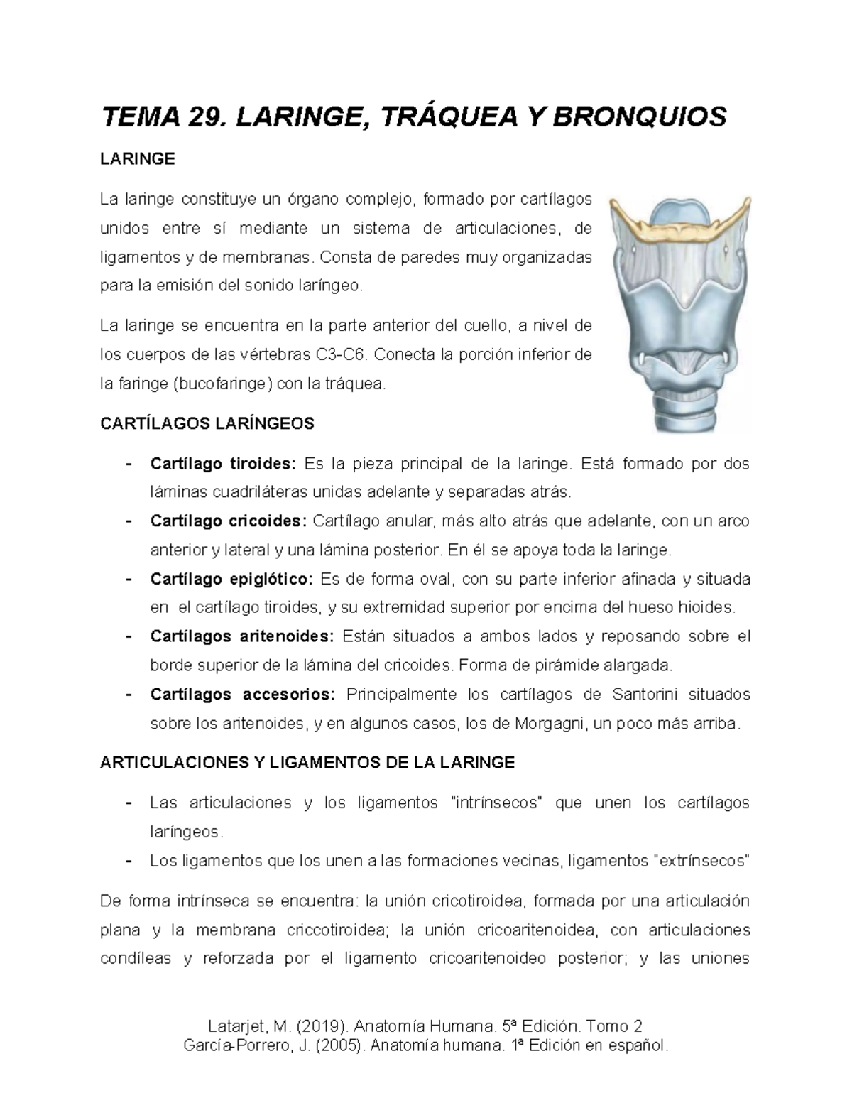 Tema 29. Laringe, tráquea y bronquios - TEMA 29. LARINGE, TRÁQUEA Y ...