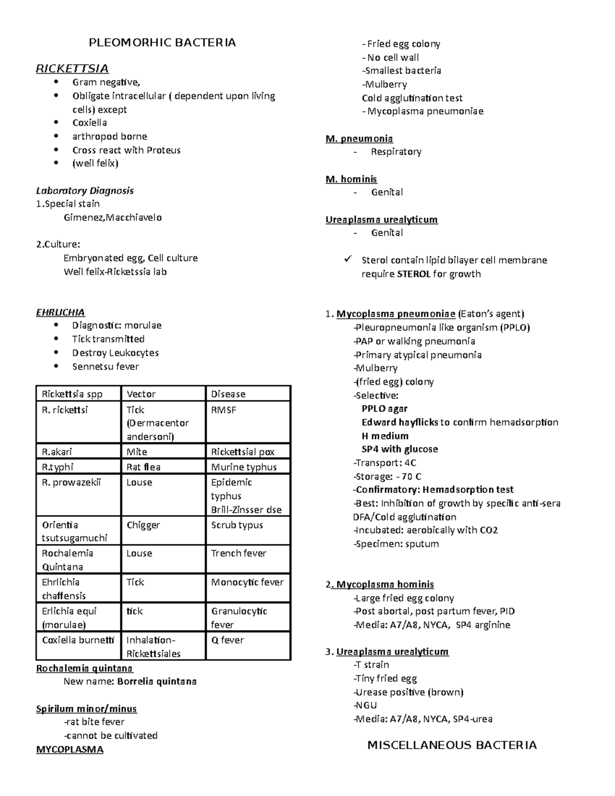 Pleomorphic Bacteria - PLEOMORHIC BACTERIA RICKETTSIA Gram negative ...