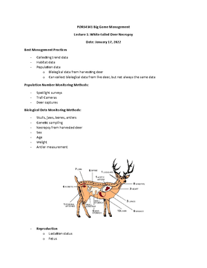 FORS4341 Deer Population Dynamics - FORS4341 Big Game Management ...