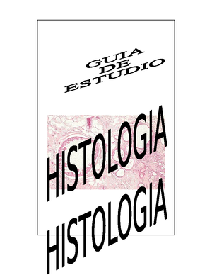 Tema 8 sistema nervioso - Tema 8: Sistema nervioso Comprende el ...