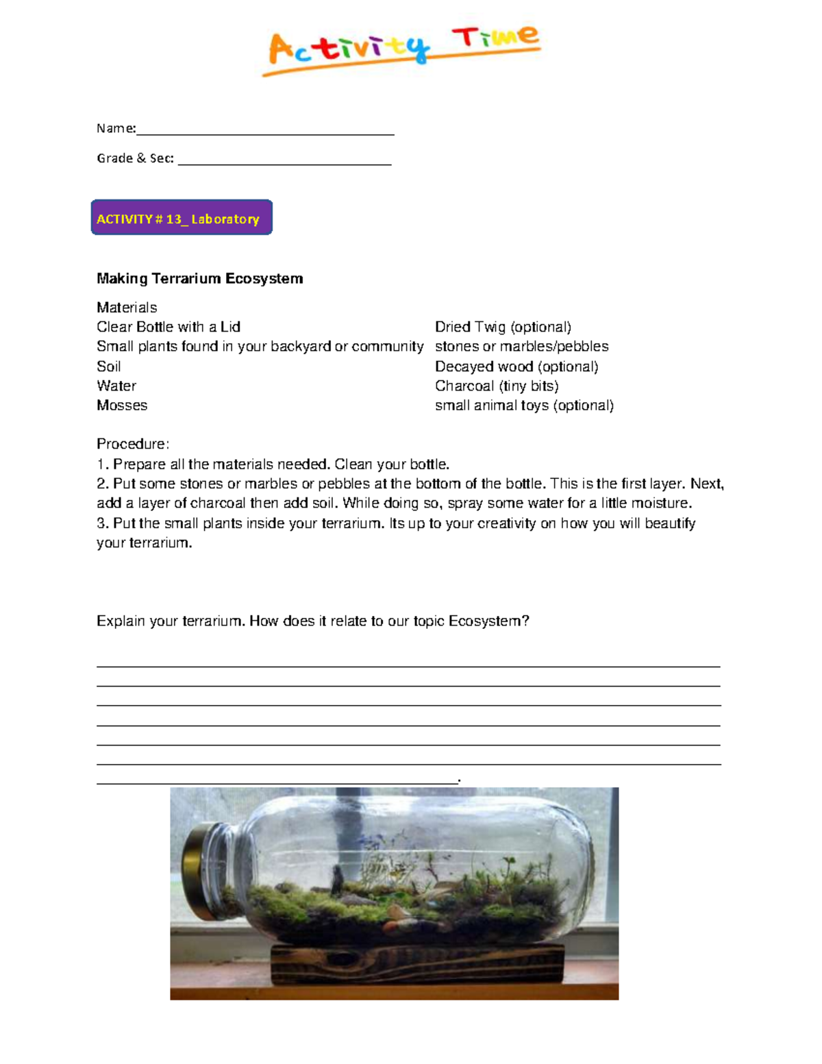 Terrarium Ecosystem - can't explain it..... - Name ...