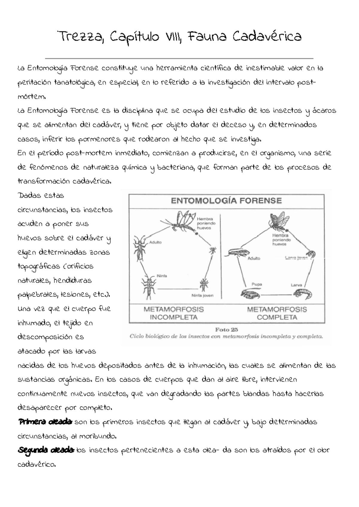 Trezza Capítulo Viii Fauna Cadavérica Trezza Capítulo Viii Fauna