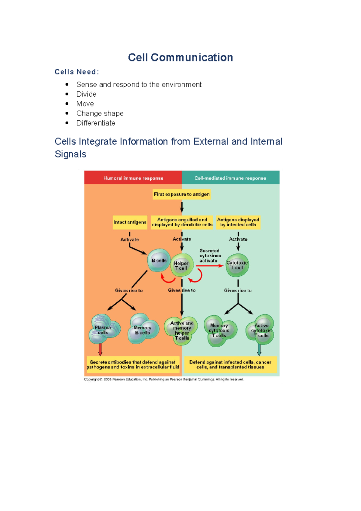 Cell Communication - Cell Communication Cells Need: Sense and respond ...