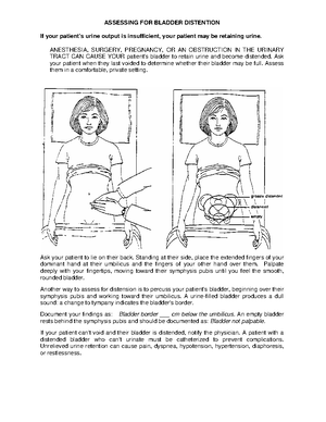 HEalth paper rubric - Please turn in your information technology paper ...