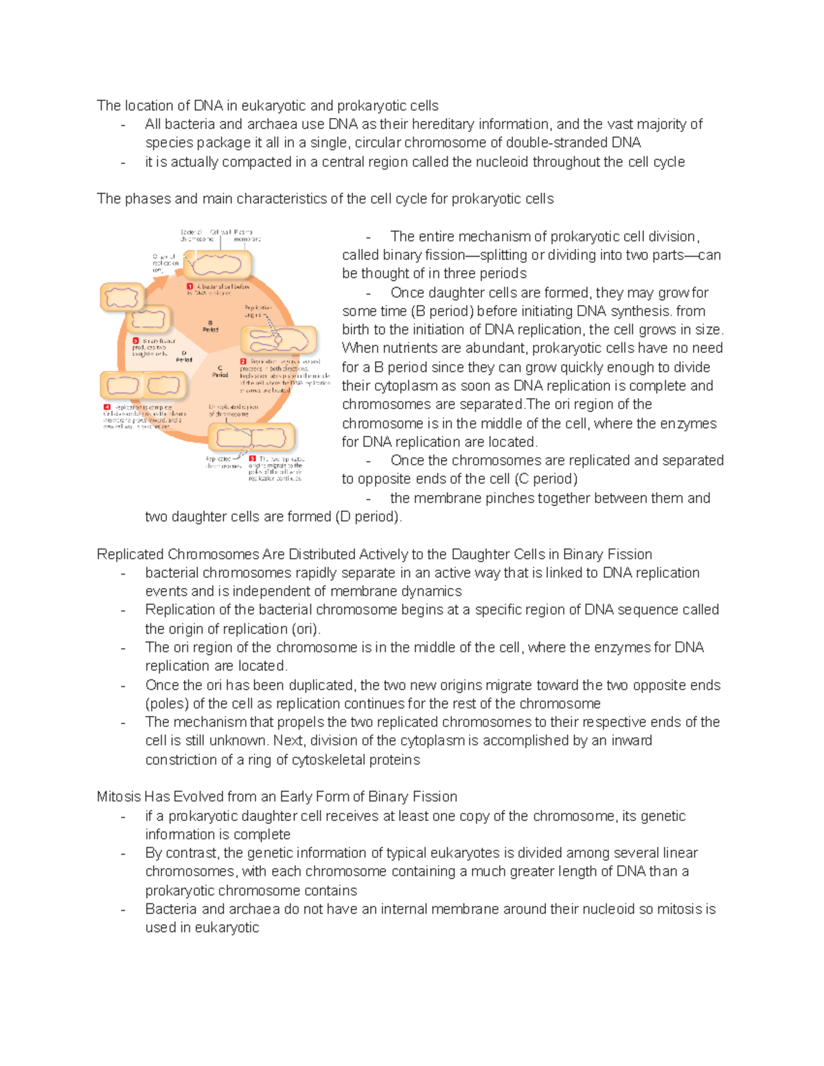 BIO1000A Cycle 2 Cell Division Cycle - The location of DNA in ...