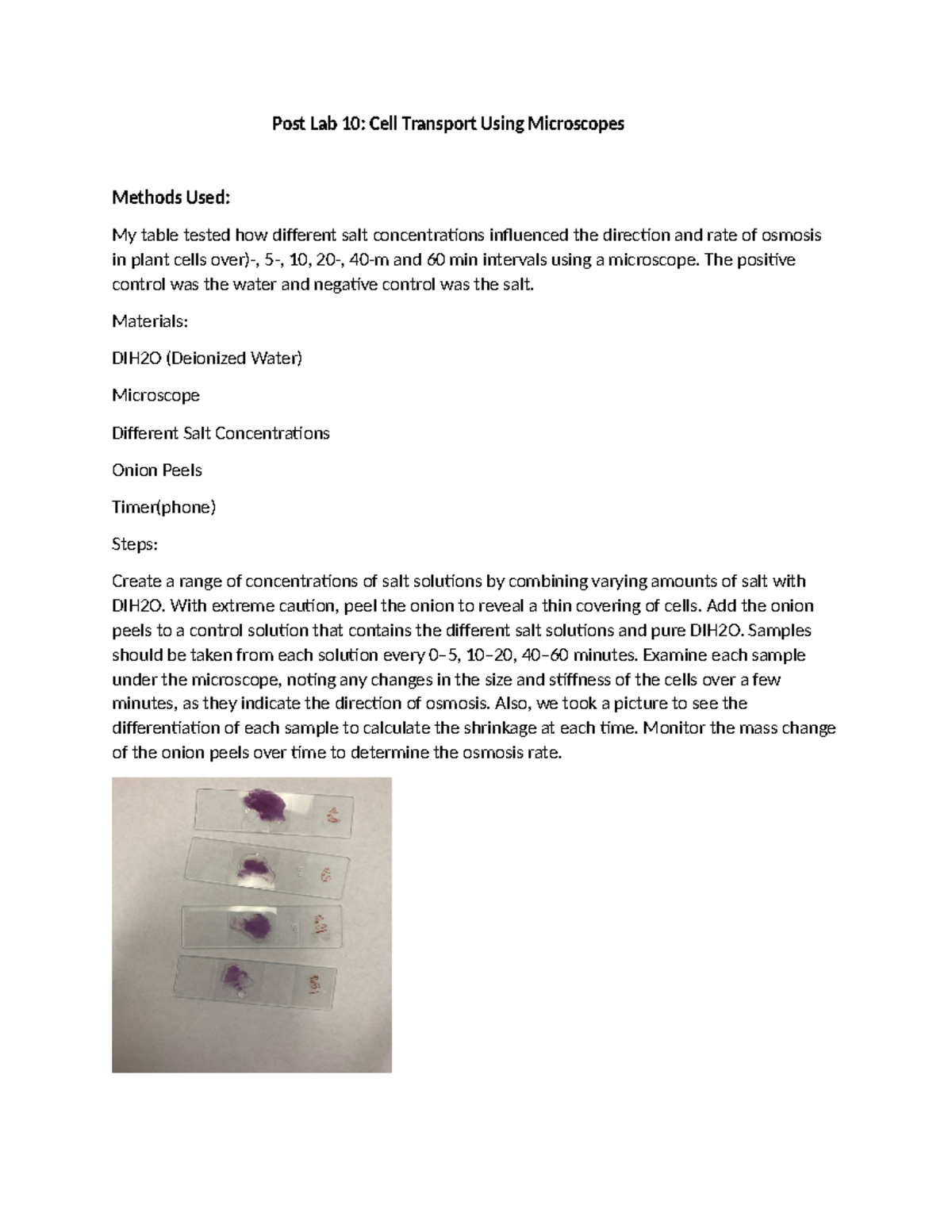 Post Lab 10 - YES IT JUST AN EASSY - Post Lab 10: Cell Transport Using ...