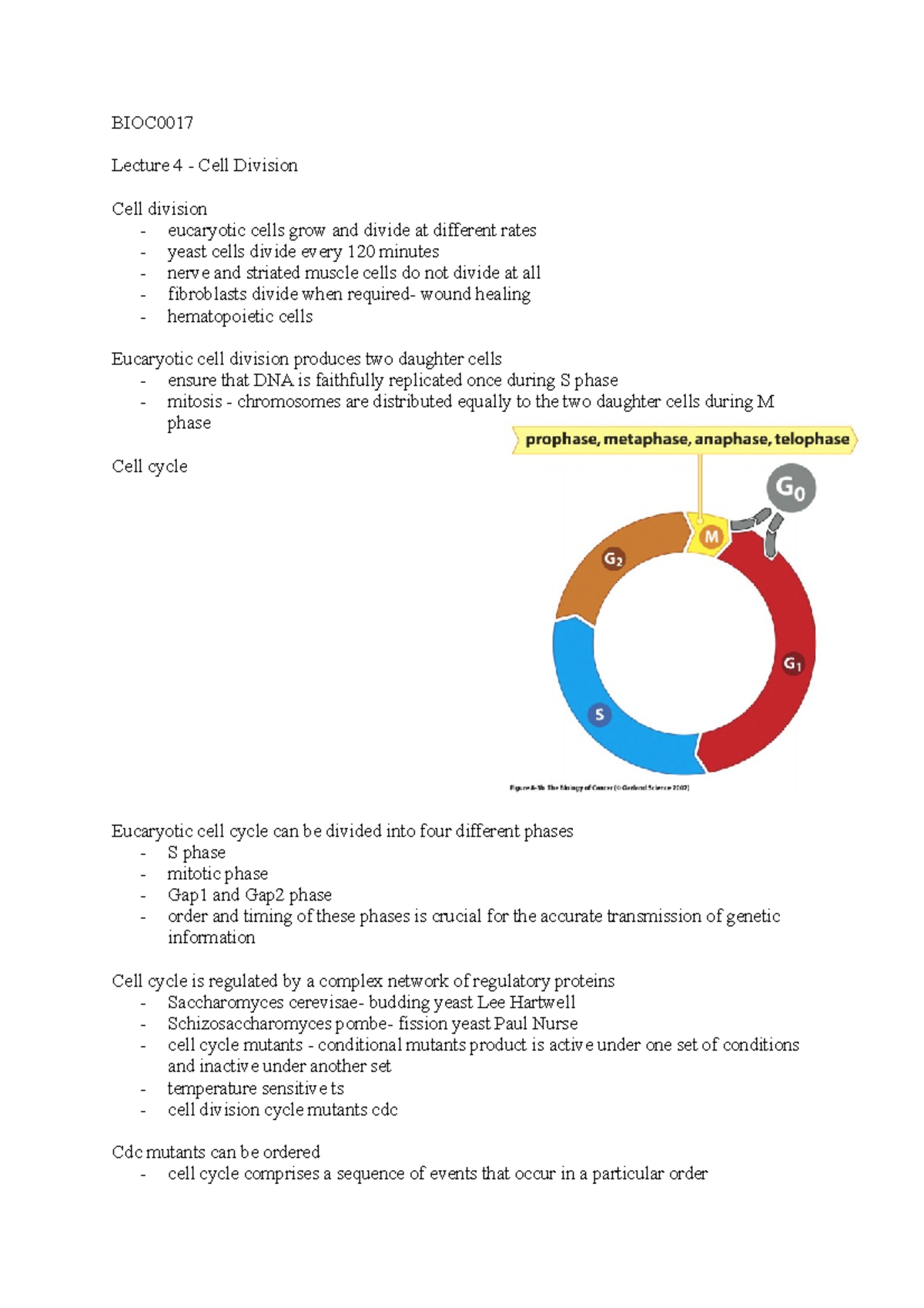Lecture 4 b17 - BIOC Lecture 4 - Cell Division Cell division - eucaryotic cells grow and divide ...