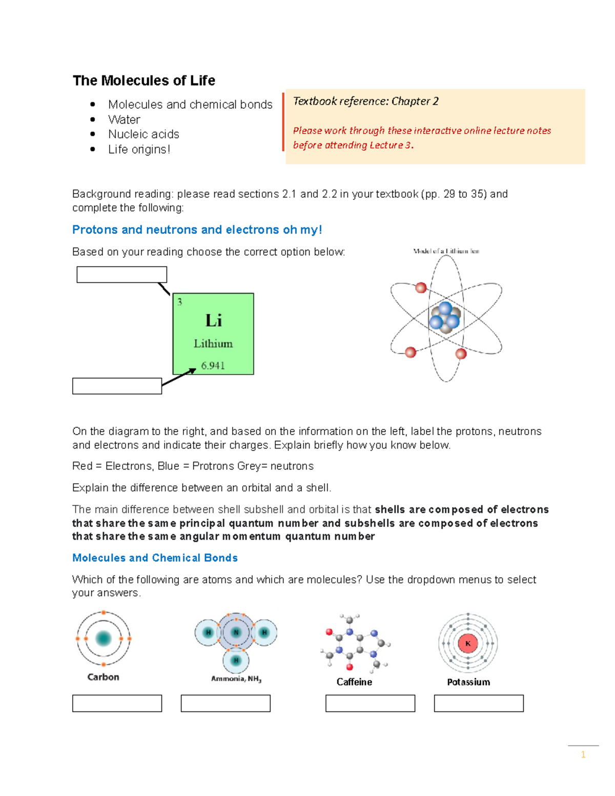 Molecules of Life interactive notes 2020 - The Molecules of Life ...