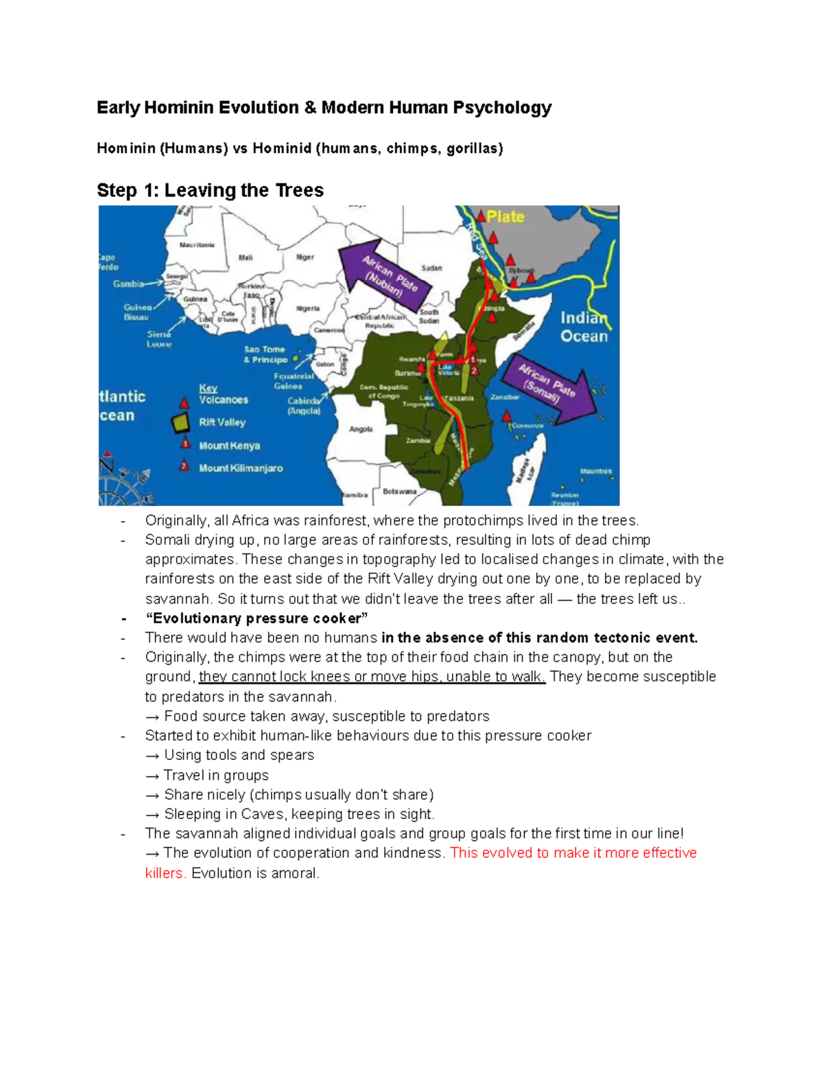 BIOL1000 Lecture 1 Notes - Early Hominin Evolution & Modern Human ...