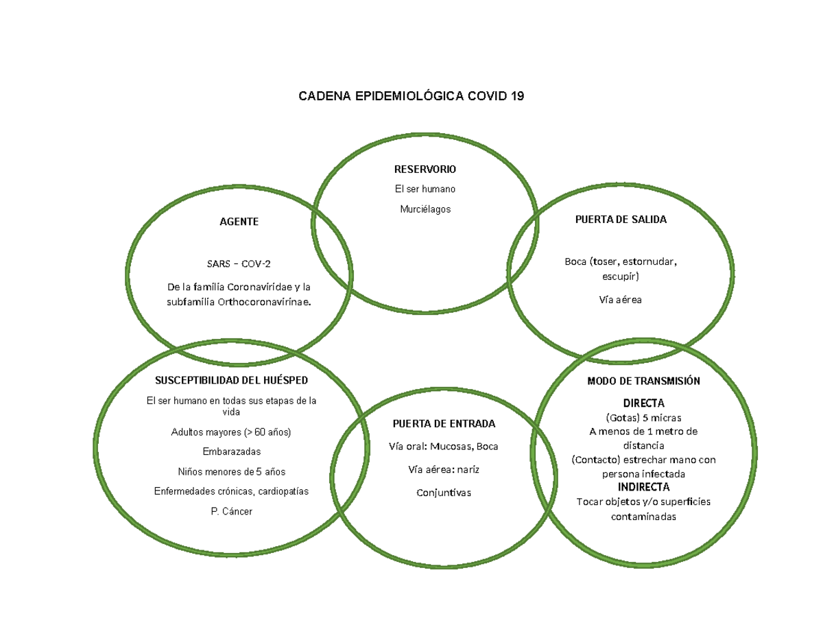 Covid 19 - CADENA EPIDEMIOLÓGICA COVID 19 RESERVORIO El ser humano ...