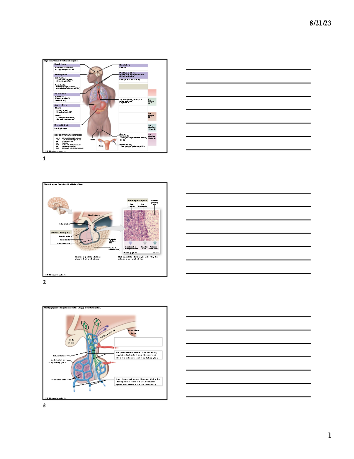 1.Practical 1 ppt - © 2015 Pearson Education, Inc. Organs and Tissues ...