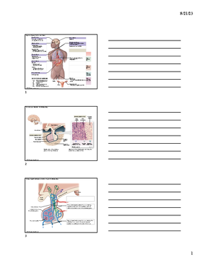 Blood Vessel Study Guide 2020 - Blood Vessels Study Guide: Anatomy and ...