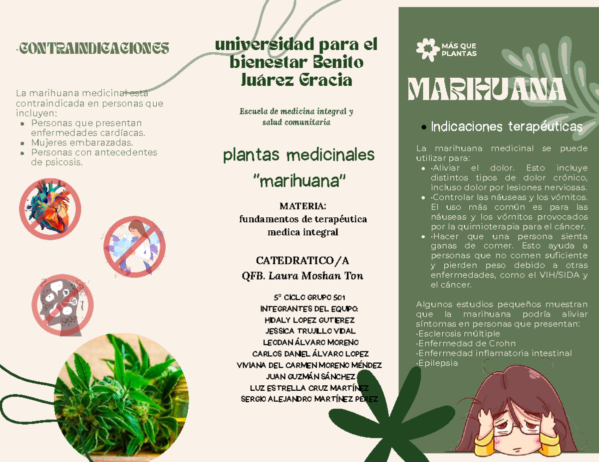 Triptico DE Marihuana - Características básicas que se deben de conocer ...