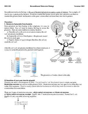 BIO 220 Exam 1 Study Guide - BIO 220: Microbiology Exam 1 Study Guide ...