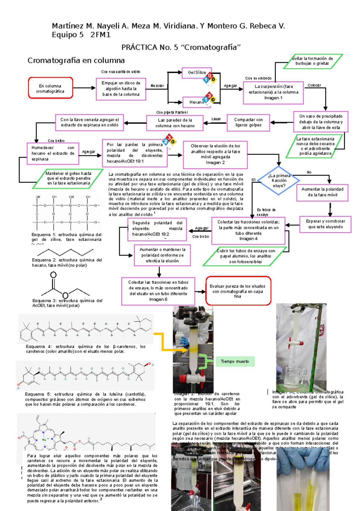 Práctica 5 Cromatografía - Martínez M. Nayeli A. Meza M. Viridiana. Y Montero G. Rebeca V ...