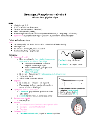 Pop 4 – Plant & animal adaption - Pop 4 – Plant & animal adaption to ...