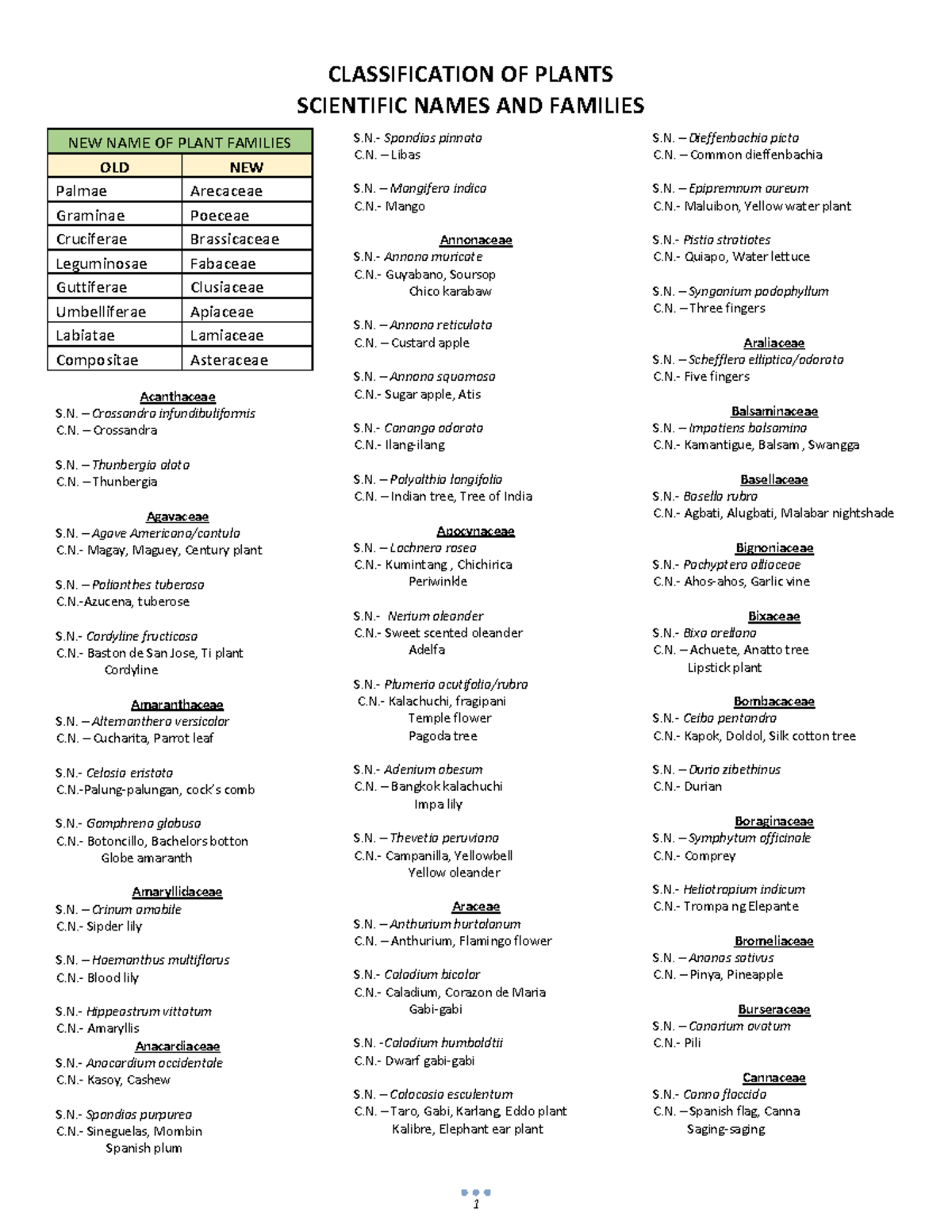 Plant-Scientific-names - NEW NAME OF PLANT FAMILIES OLD NEW Palmae ...