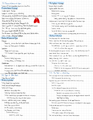 Chapter 6 Cardiovascular System Blood - 6. / Blood! An Overview ...