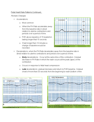 Pediatric+Cardiovascular+Assessment+and+Referral+in+the+Primary+Care ...