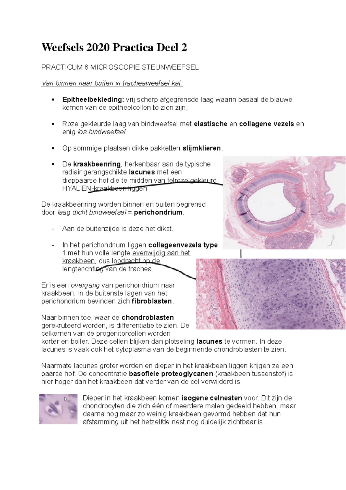 Weefsels 2020 Practica Deel 2 - Weefsels 2020 Practica Deel 2 PRACTICUM ...