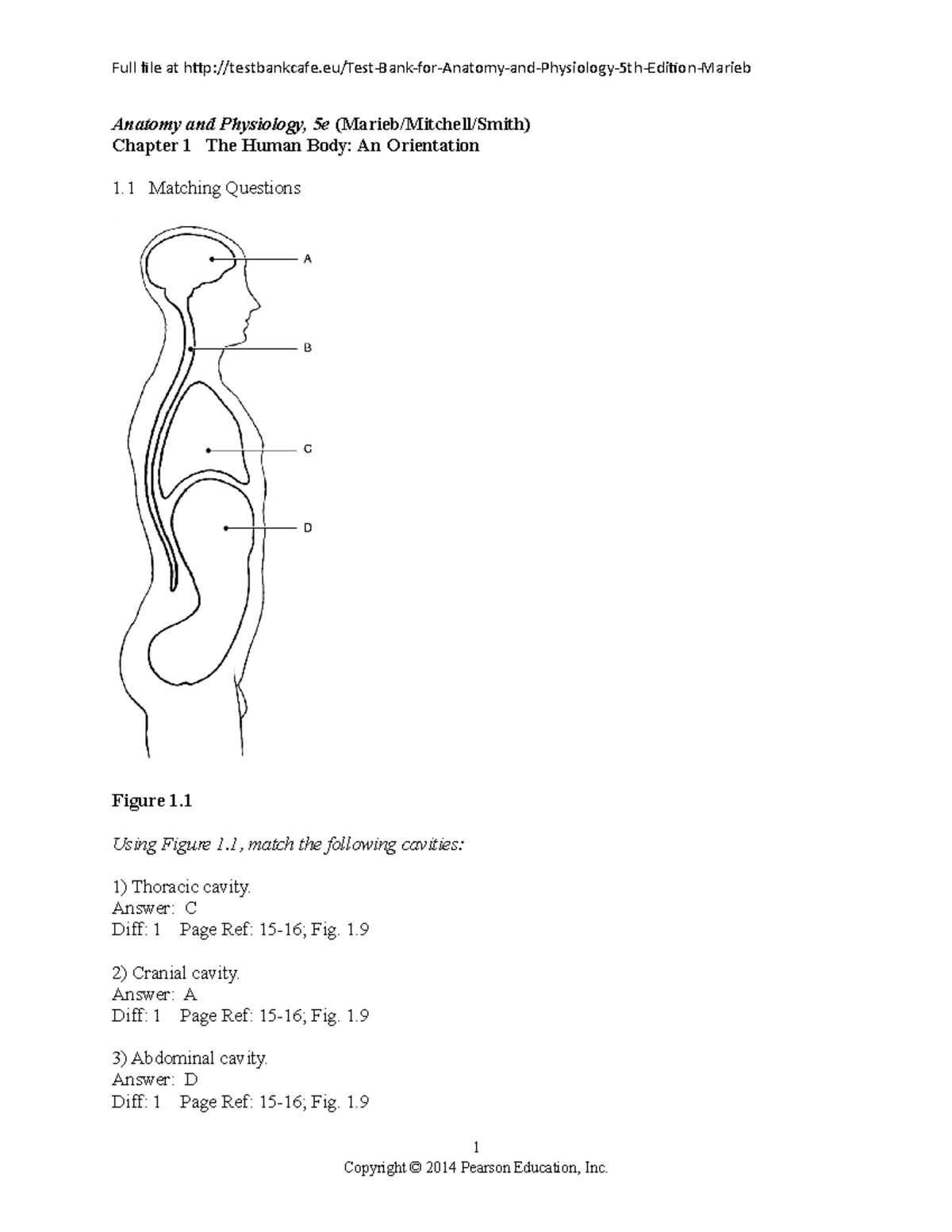 327757566 Test Bank for Anatomy and Physiology 5th Edition Marieb ...