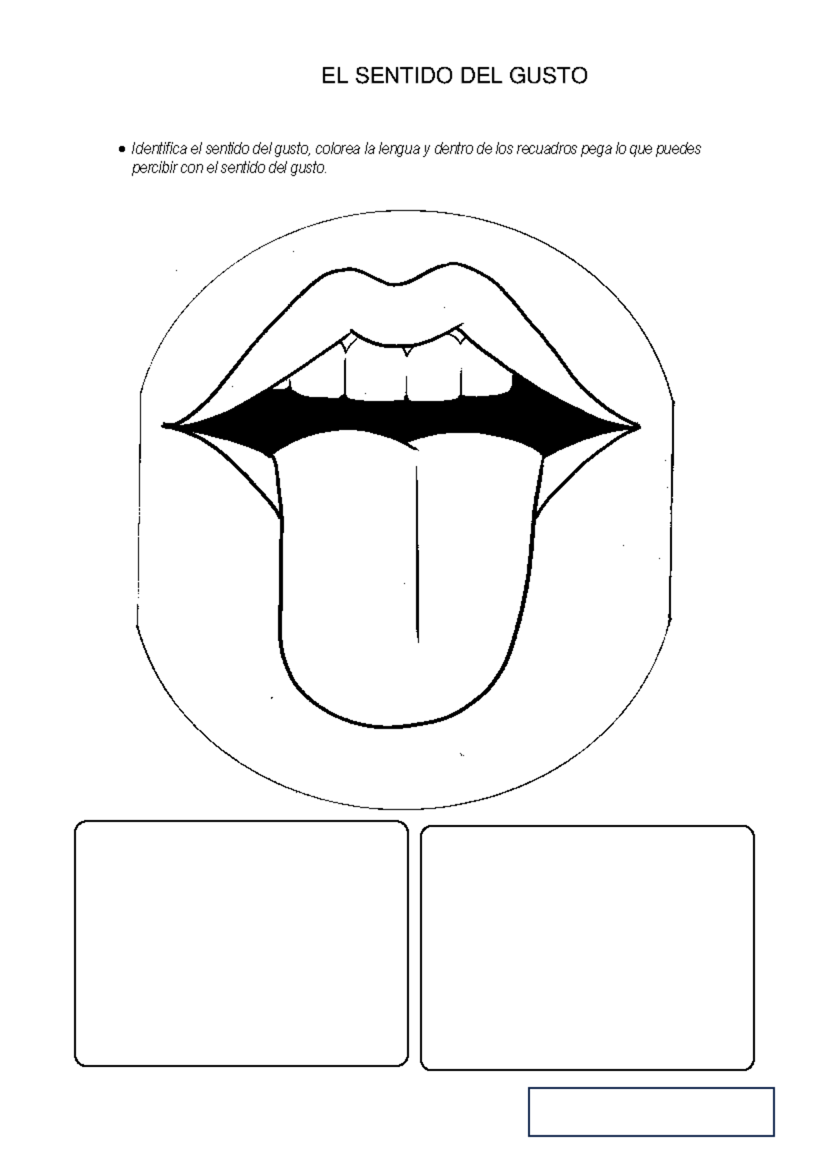 03-05-24 sentido del gusto y tacto - Identifica el sentido del gusto ...