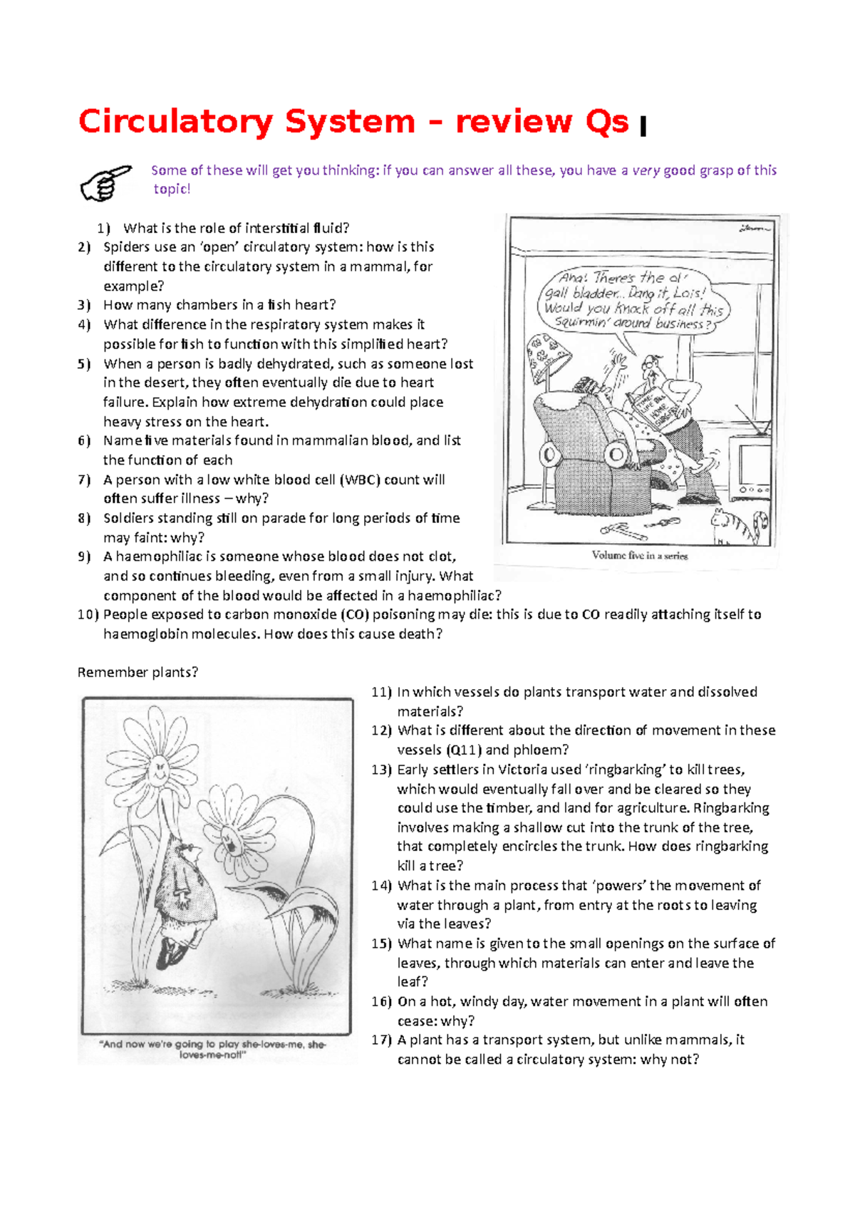 Circulatory System Review Questions - Circulatory System – review Qs ...