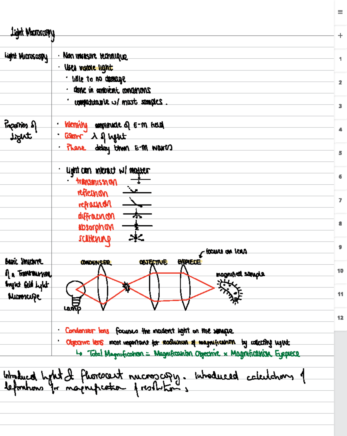 N23 Light Microscopy - Summary of lecture - lightMicroscopy gut ...