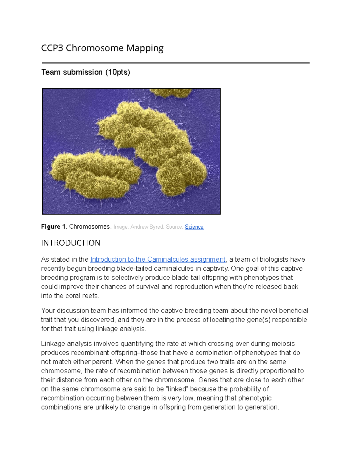 CCP3 Chromosome Mapping - Chromosomes. Image: Andrew Syred. Source ...