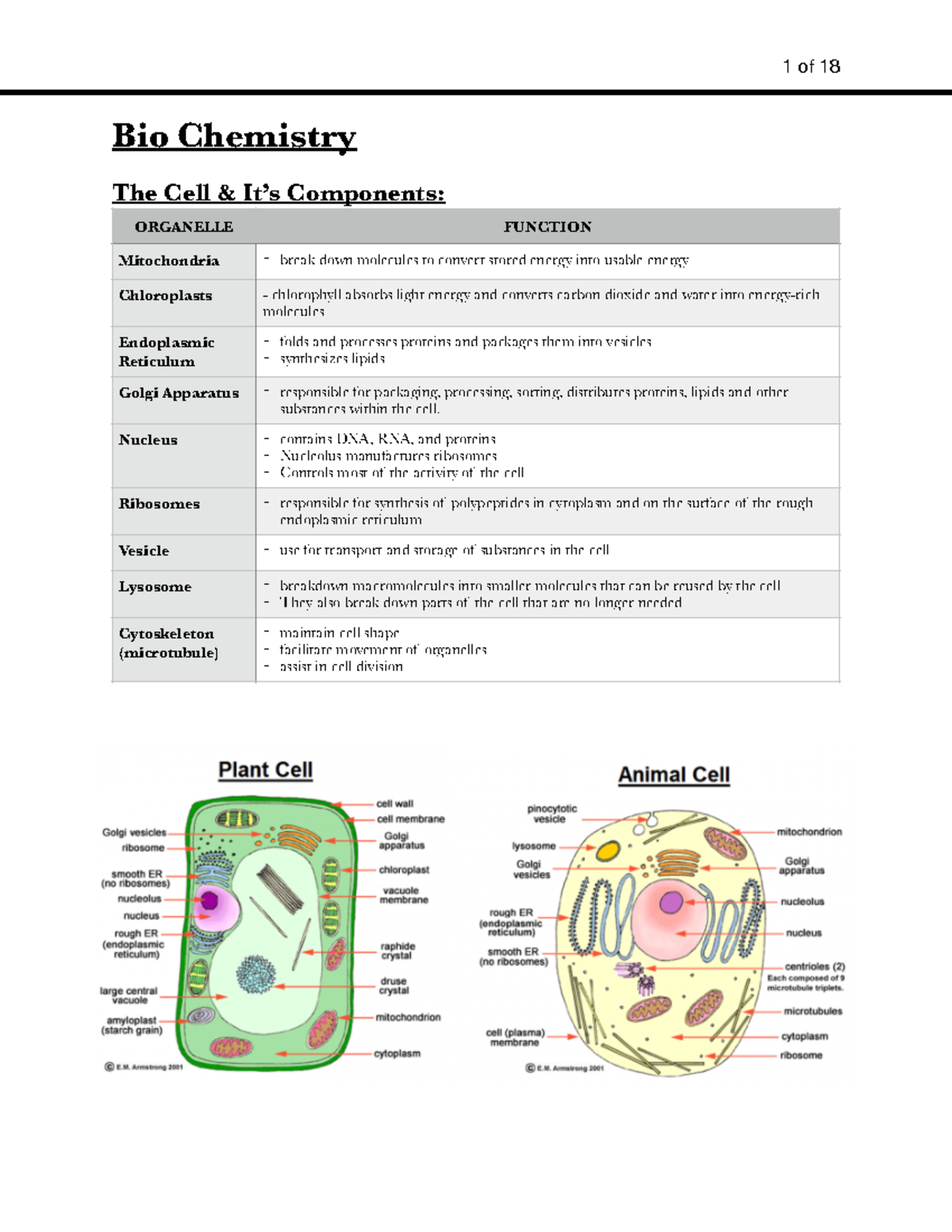 Gr. 12 Biology - Unit 1 - mrs. seguin - Bio Chemistry The Cell & It’s ...