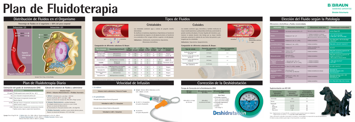 Plan Fluidoterapia - Velocidad de Infusión Corrección de la ...