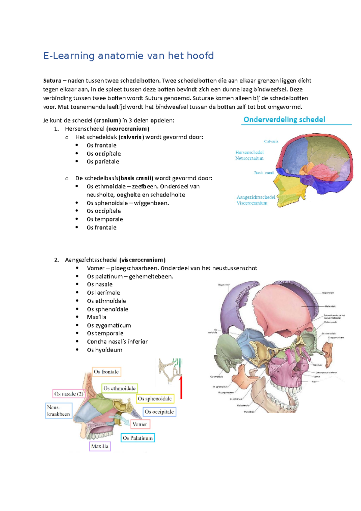 E-learning anatomie van het hoofd - E-Learning anatomie van het hoofd ...