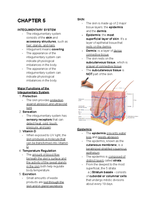 Blood Notes-Anatomy and Physiology Seeley's - Anatomy & Physiology ...