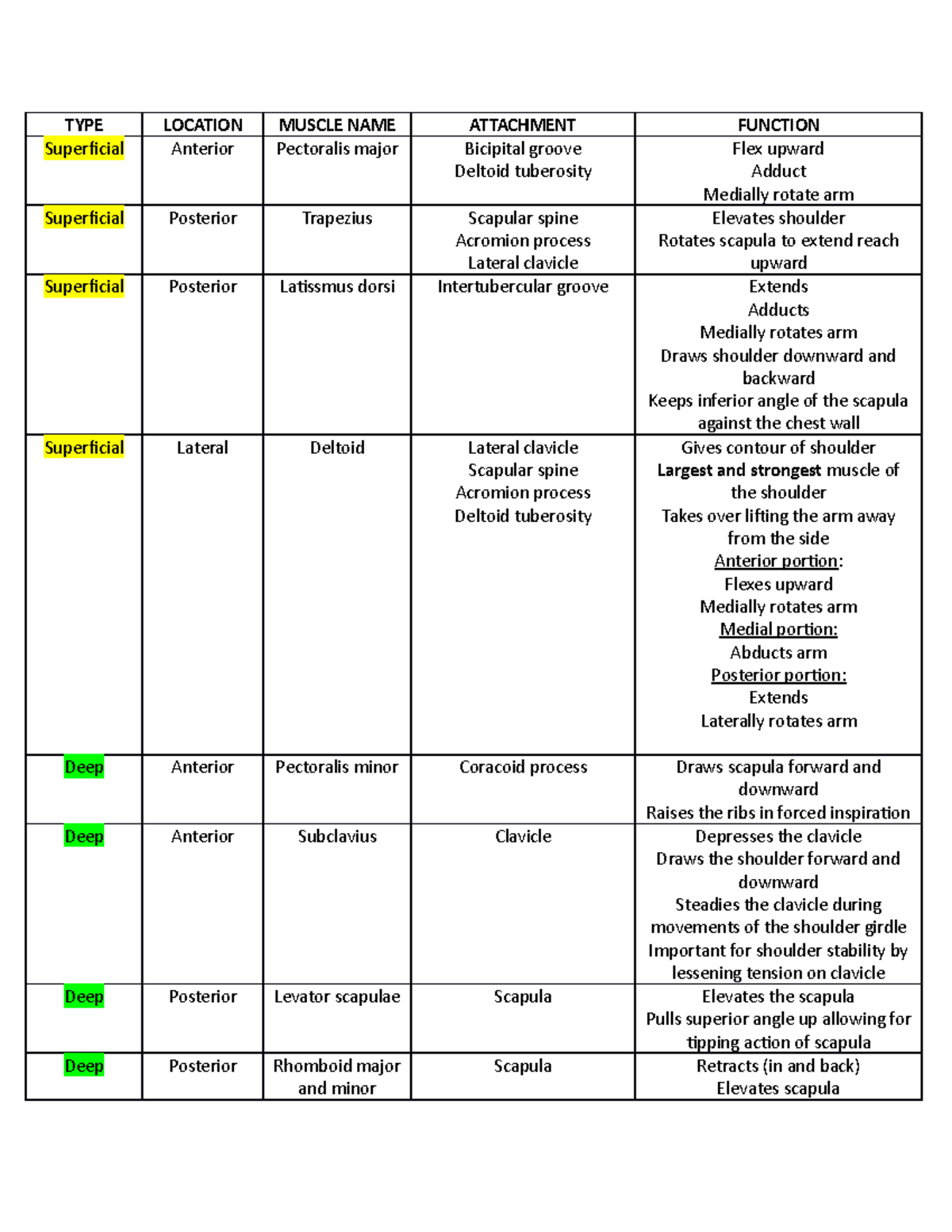 Anatomy UE muscle list - idk. - TYPE LOCATION MUSCLE NAME ATTACHMENT ...