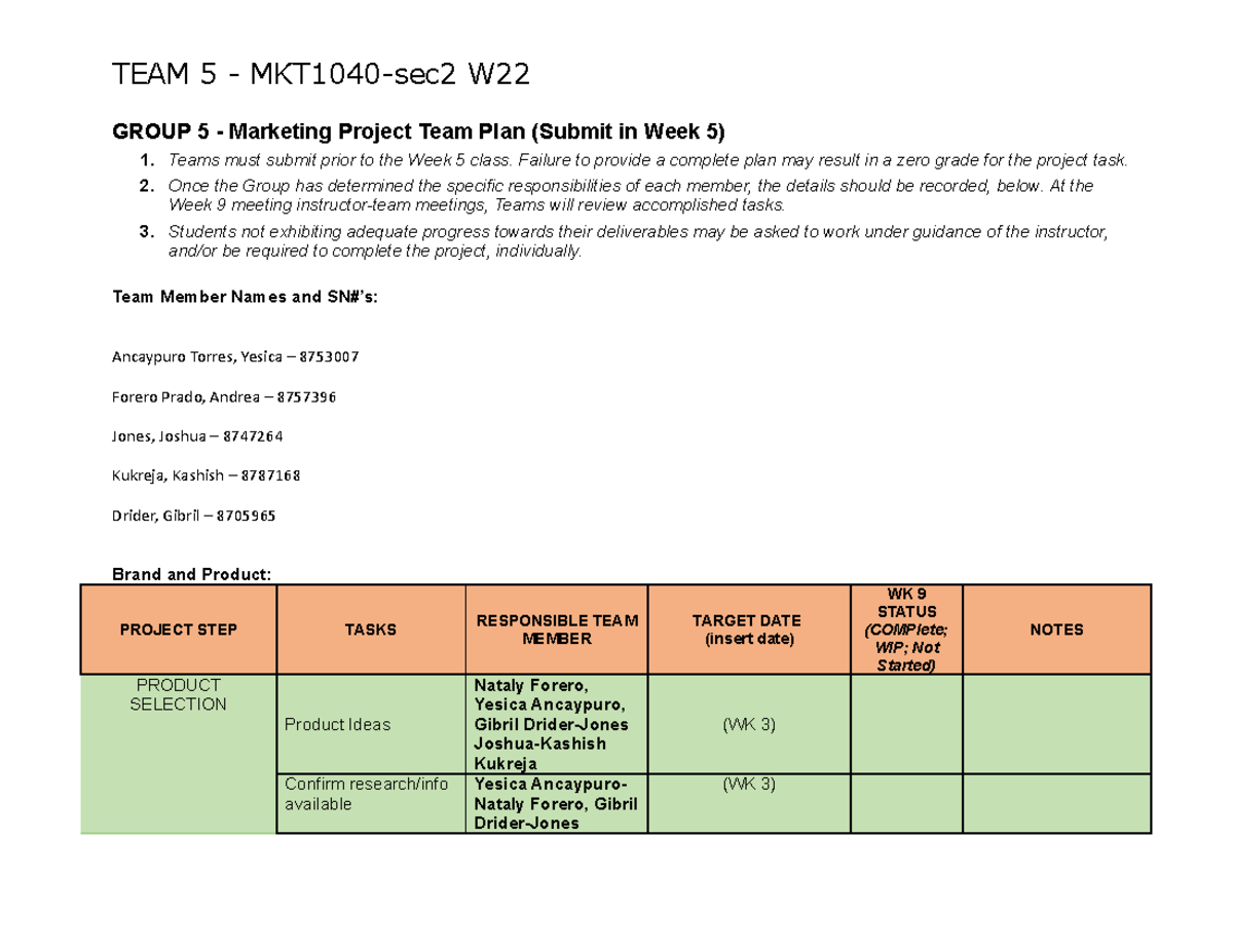 05- Marketing Project Team Plan copy - GROUP 5 - Marketing Project Team ...
