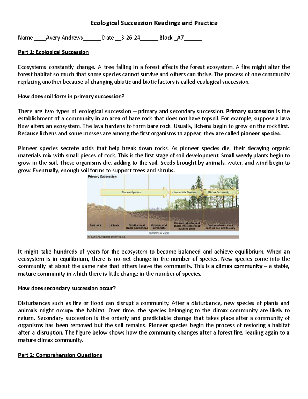Ecological Succession Reading and Practice - A tree falling in a forest ...
