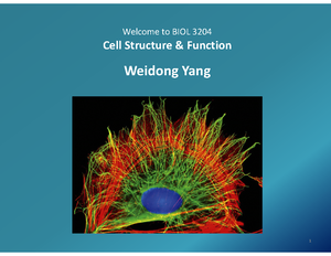 Methods Section - phage recombination - Faith Joseph Dr. Yankowski ...