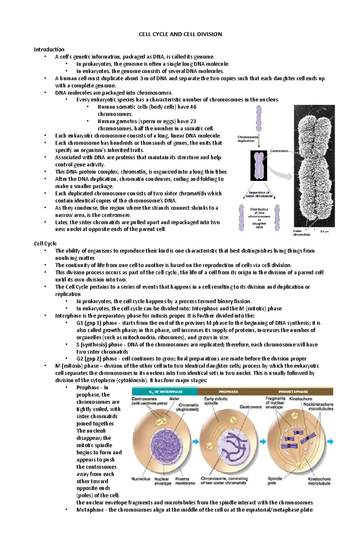 Cell Cycle and Cell Division - Zoo Lec Handoouts - CELL CYCLE AND CELL ...