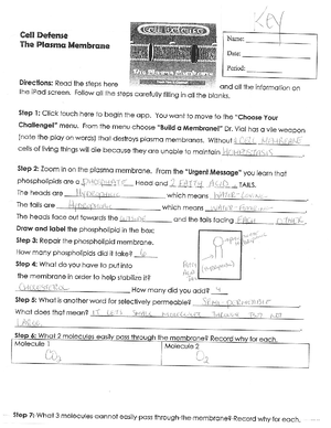 Cardiovascular System and the Blood Cornell Notes - Topic ...