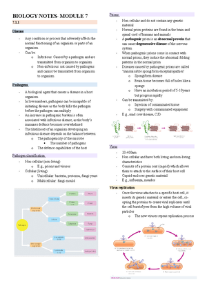 Module 7 Biology - Primary vs Secondary Antigen Exposure - Higher peak ...