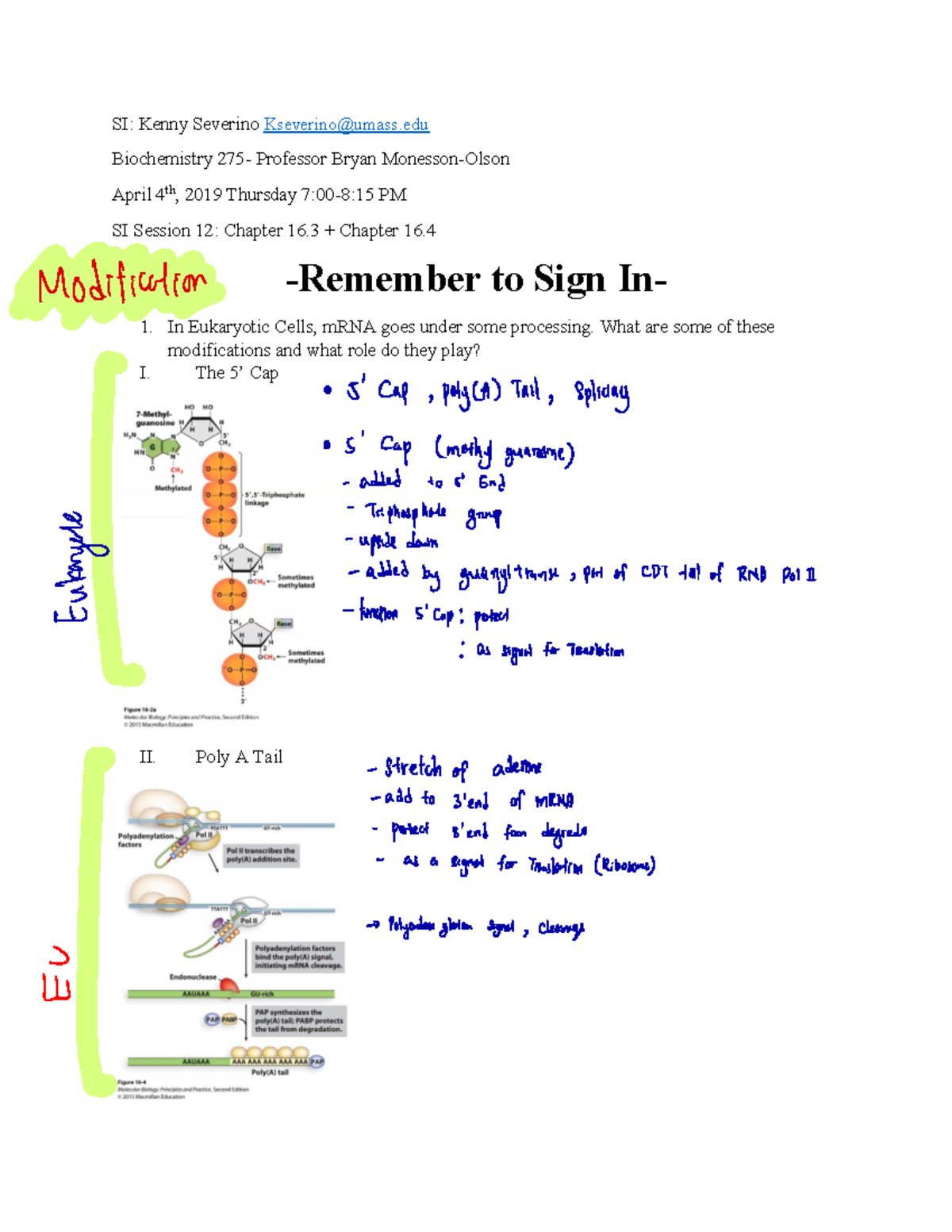 Biochem Si Si Session 14 Warning Tt Undefined Function 32 Warning Tt Undefined Function