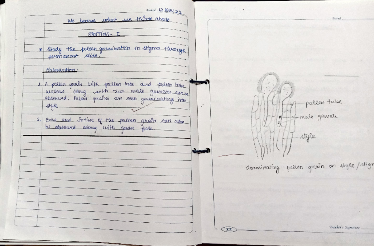 Biology spotting - Practical. - Biology Class 12 - Studocu