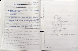 Botany Med Easy by Vipin Sir - Biology Class 12 - BOTANY MED EASY BY DR ...