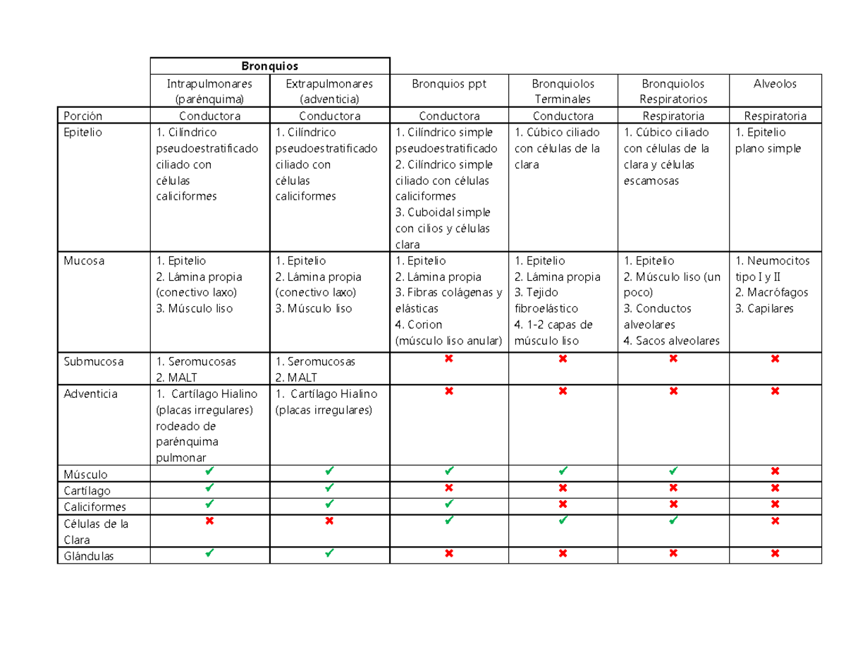 Tabla resumen - Bronquios Intrapulmonares (parénquima) Extrapulmonares ...