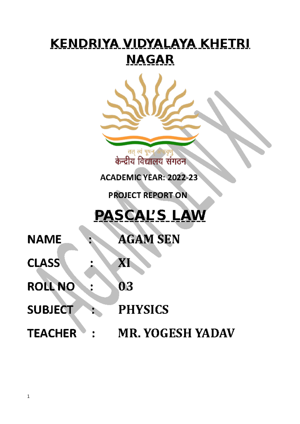 Physics Project FILE Pascal Law - KENDRIYA VIDYALAYA KHETRI NAGAR ...