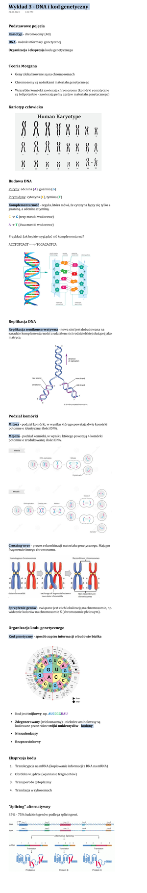 Wykład-6-Płeć - genetyka Pawłowski - Rodzaje płci Płeć genetyczna Płeć ...