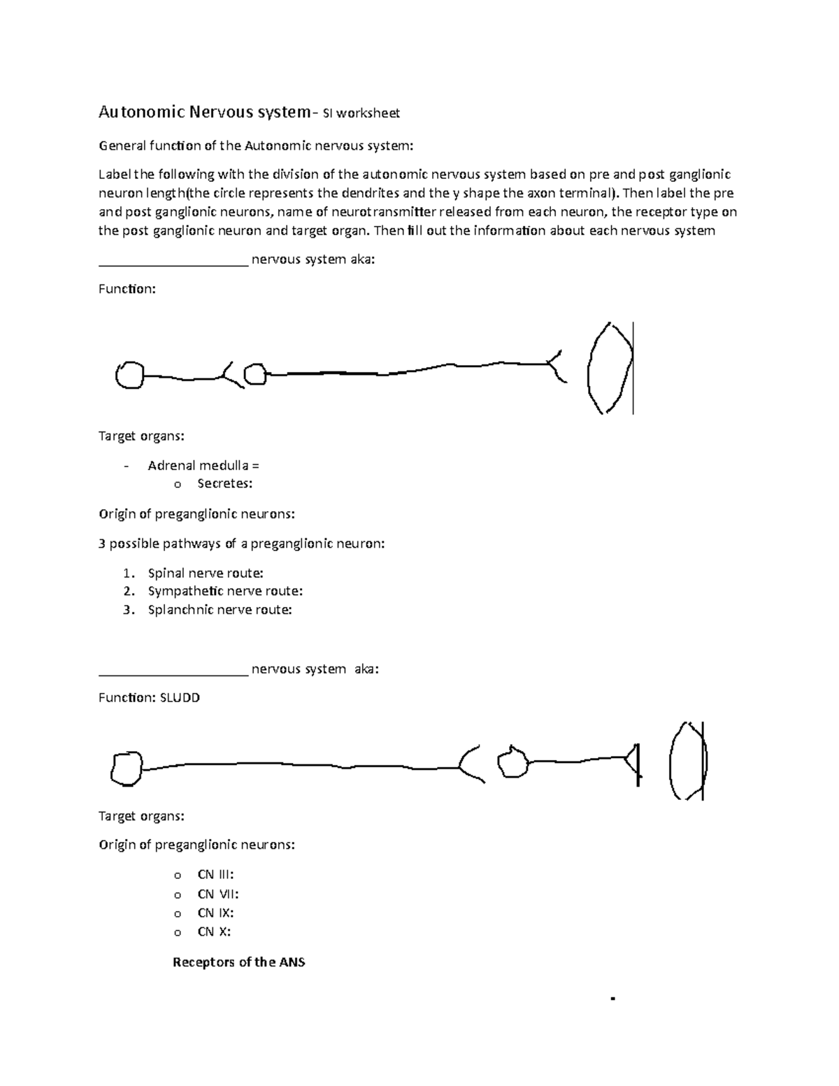 ANS SI wksht - Worksheet on the ANS - Autonomic Nervous system- SI ...