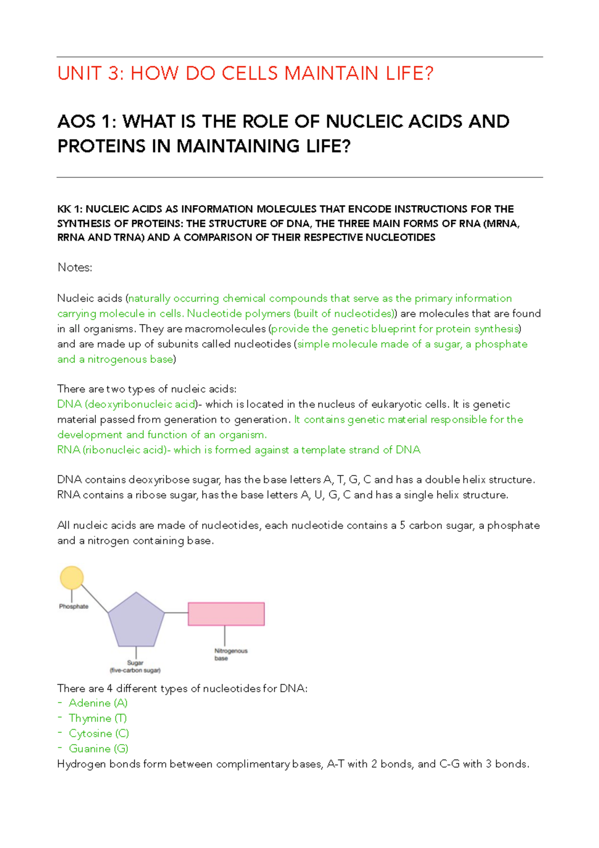 Biology 3+4 notes pdf short - UNIT 3: HOW DO CELLS MAINTAIN LIFE? AOS 1 ...